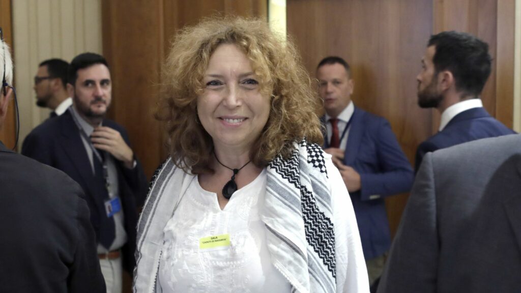 Flotilla per Gaza, il rientro degli attivisti italiani: esposto alla ...